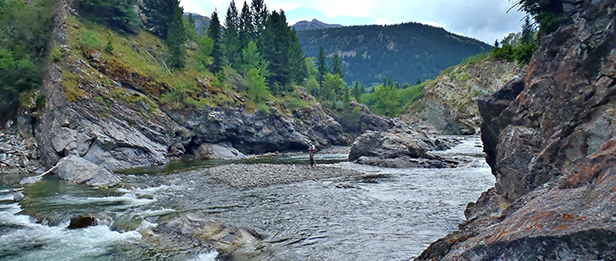 Clearwater Adventures | Fly Fishing Guide Services | Calgary, Alberta ...